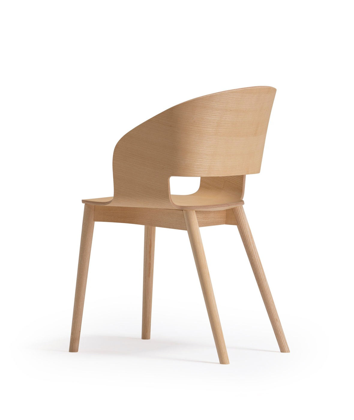 Buy Goose Chair with Wooden Armrests & Legs | Modern Style | TheMADgroup